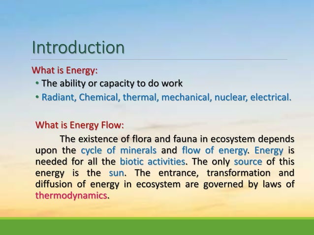 Energy Flow in Environment : Ecological Energetics | PPTX | Chemistry ...