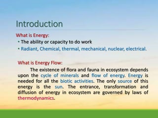 Energy Flow Through An Ecosystem Biozone