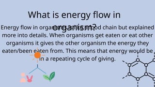 Energy flow in organisms cycle of life.pptx