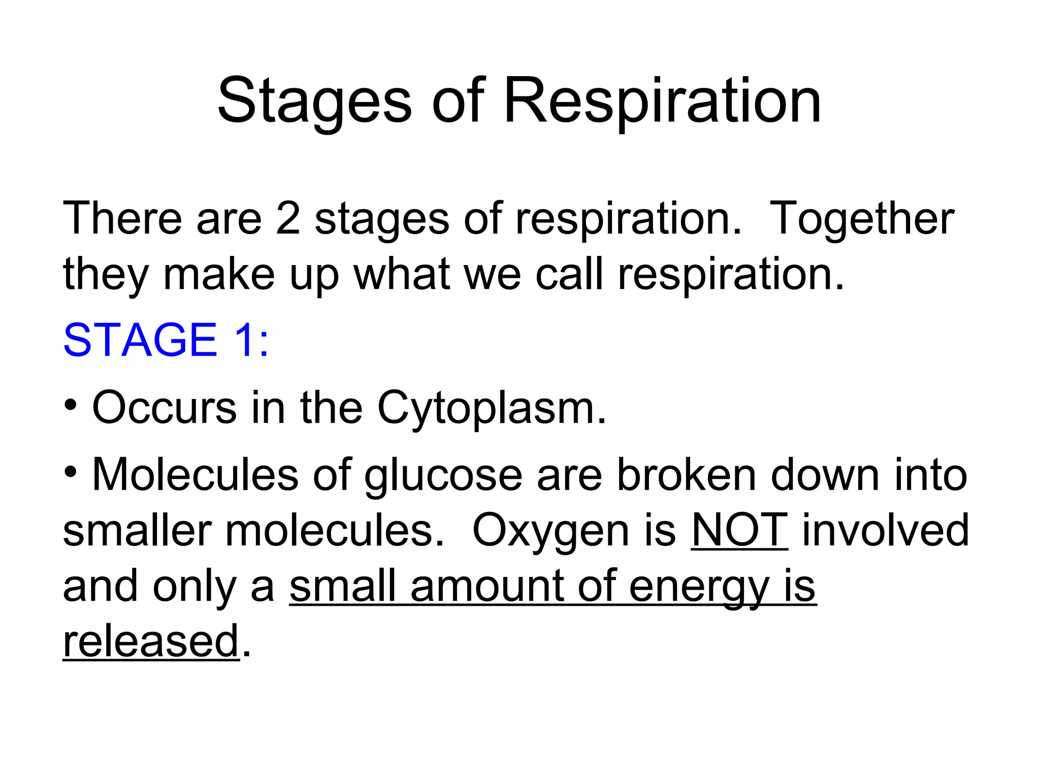 Energy flow in_the_cell_presentation_teacher_version | PPT