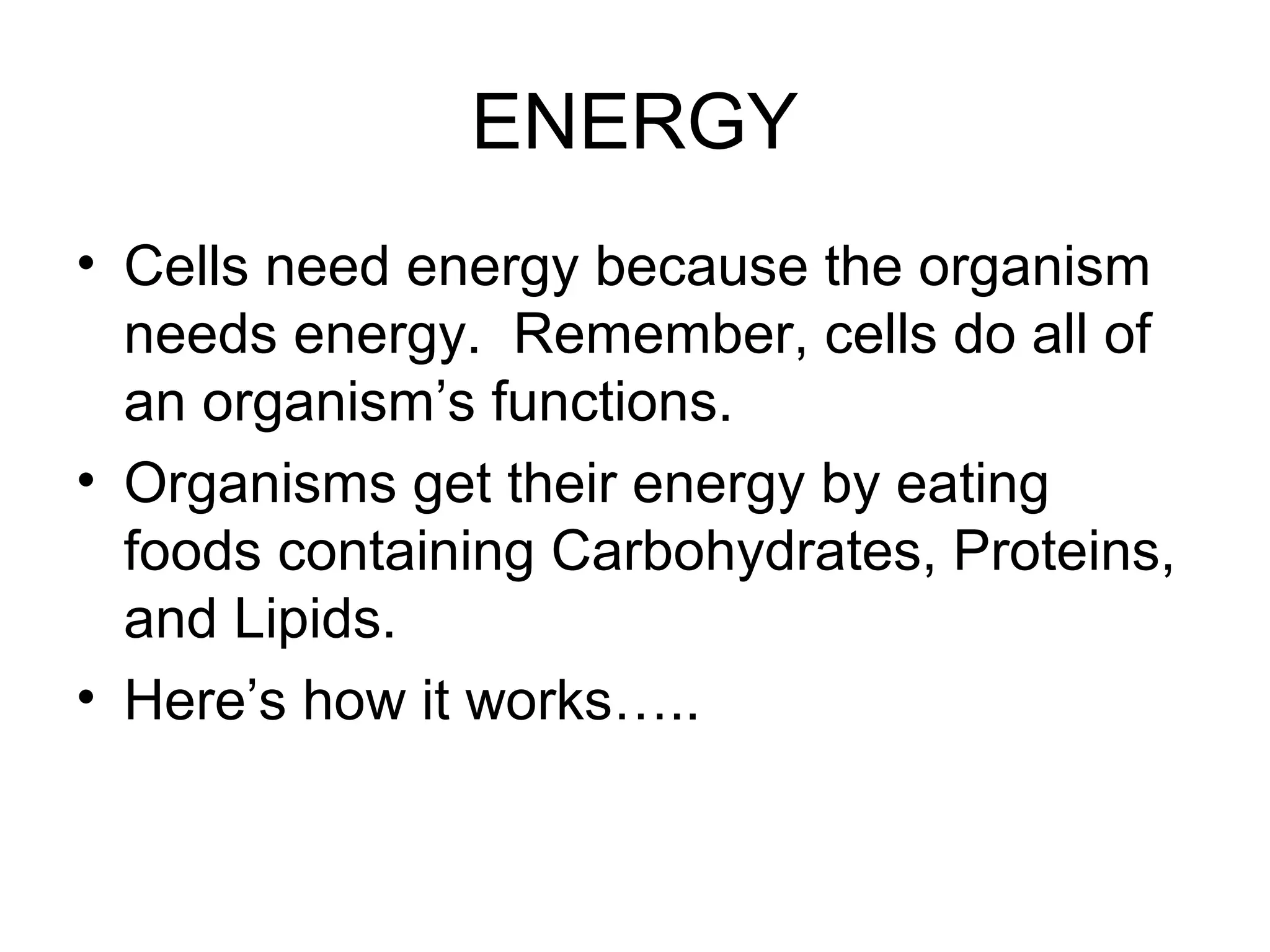 Energy flow in_the_cell_presentation_teacher_version | PPT