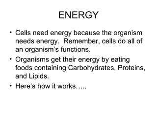 Energy flow in_the_cell_presentation_teacher_version | PPT