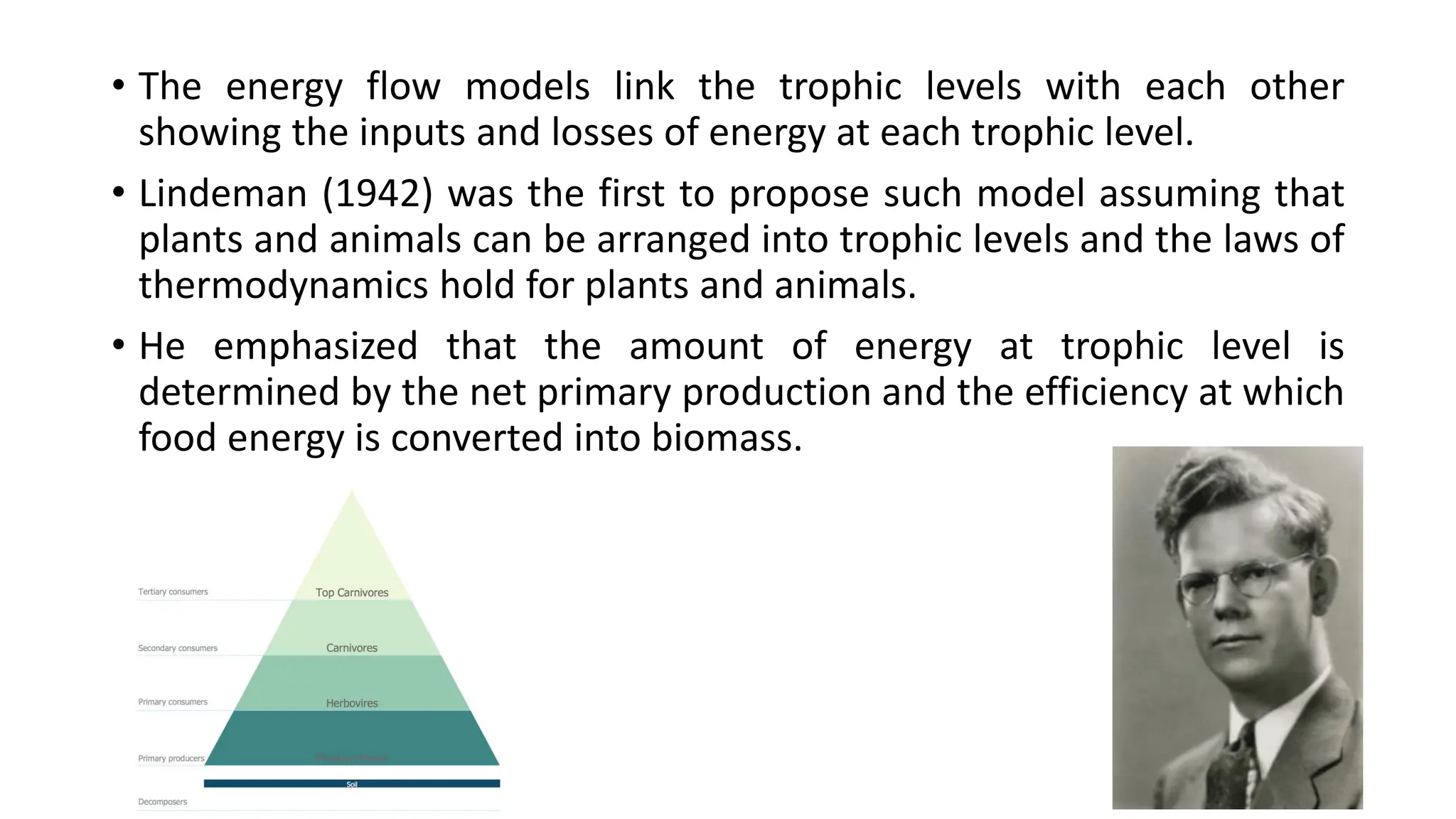 ENERGY FLOW MODELS.pdf