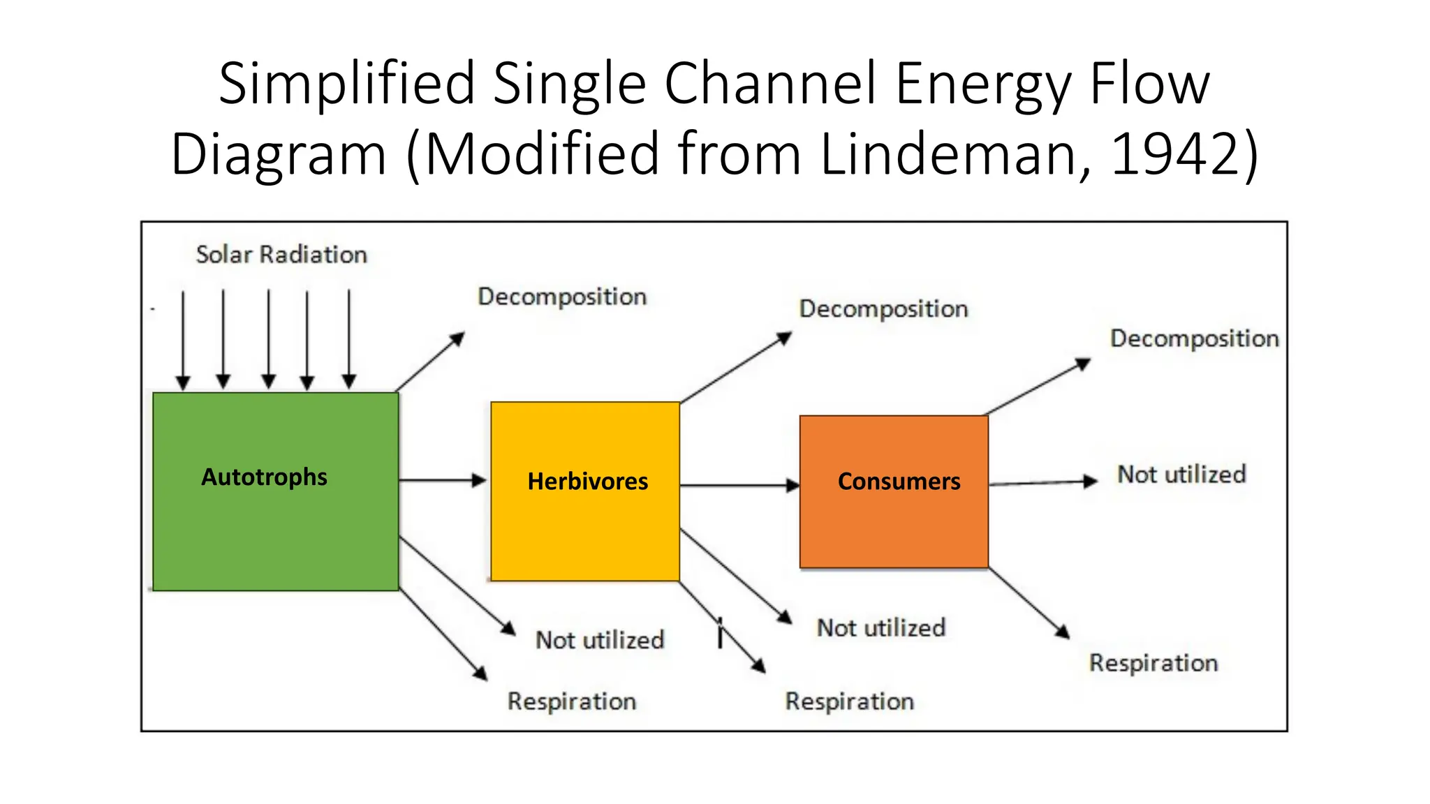 ENERGY FLOW MODELS.pdf