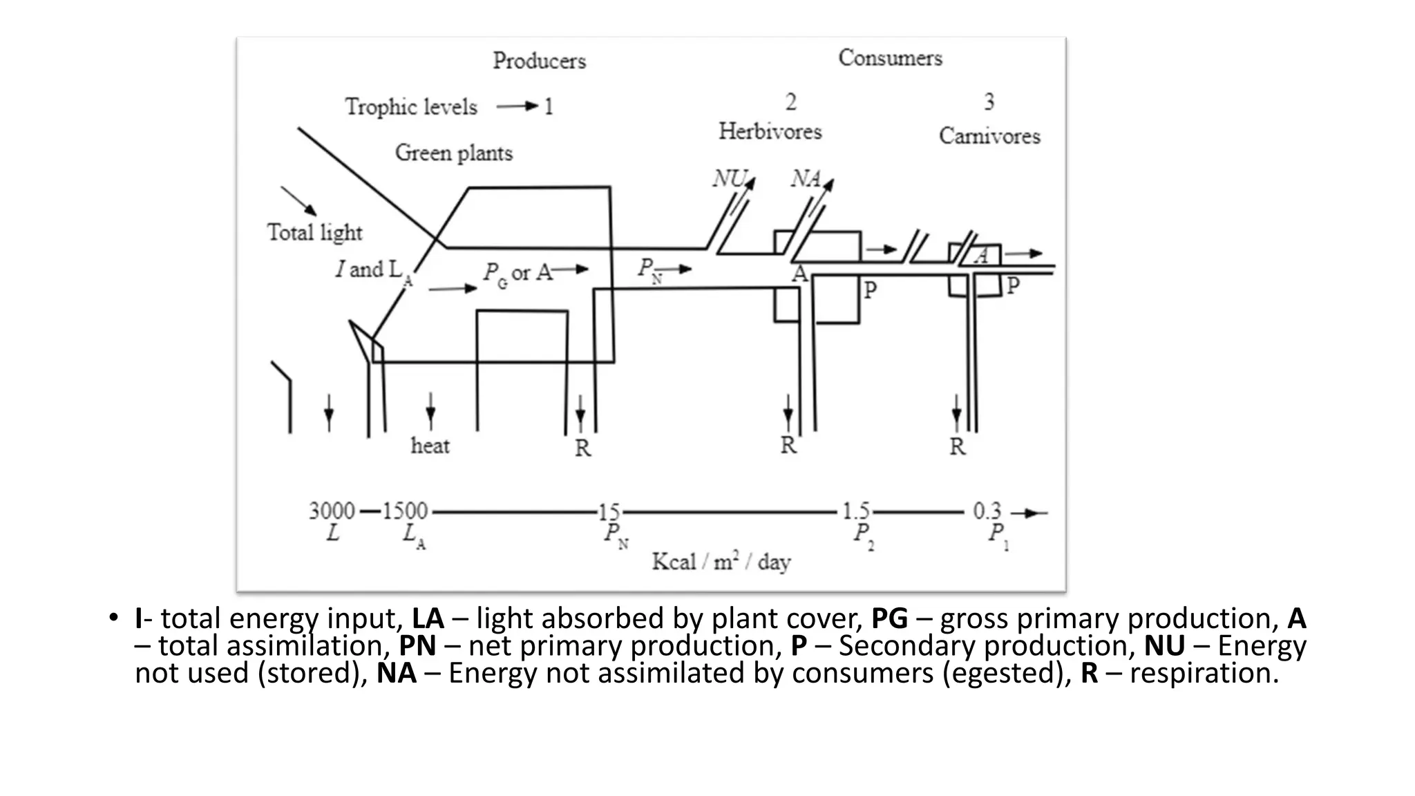 ENERGY FLOW MODELS.pdf