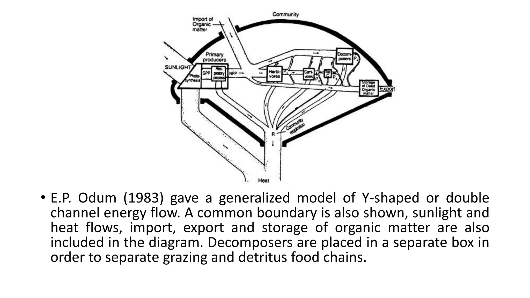 ENERGY FLOW MODELS.pdf