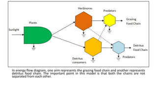 ENERGY FLOW MODELS.pdf