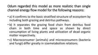 ENERGY FLOW MODELS.pdf