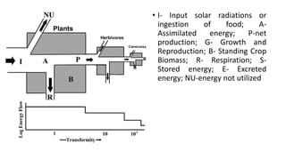 ENERGY FLOW MODELS.pdf