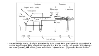 ENERGY FLOW MODELS.pdf
