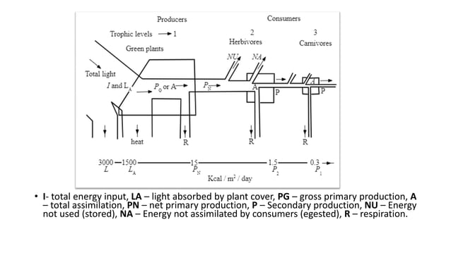 ENERGY FLOW MODELS.pdf