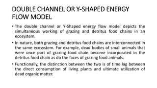 ENERGY FLOW MODELS.pdf