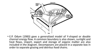 ENERGY FLOW MODELS.pdf