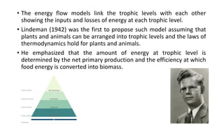 ENERGY FLOW MODELS.pdf