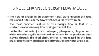 ENERGY FLOW MODELS.pdf