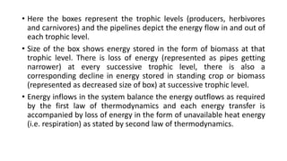 ENERGY FLOW MODELS.pdf