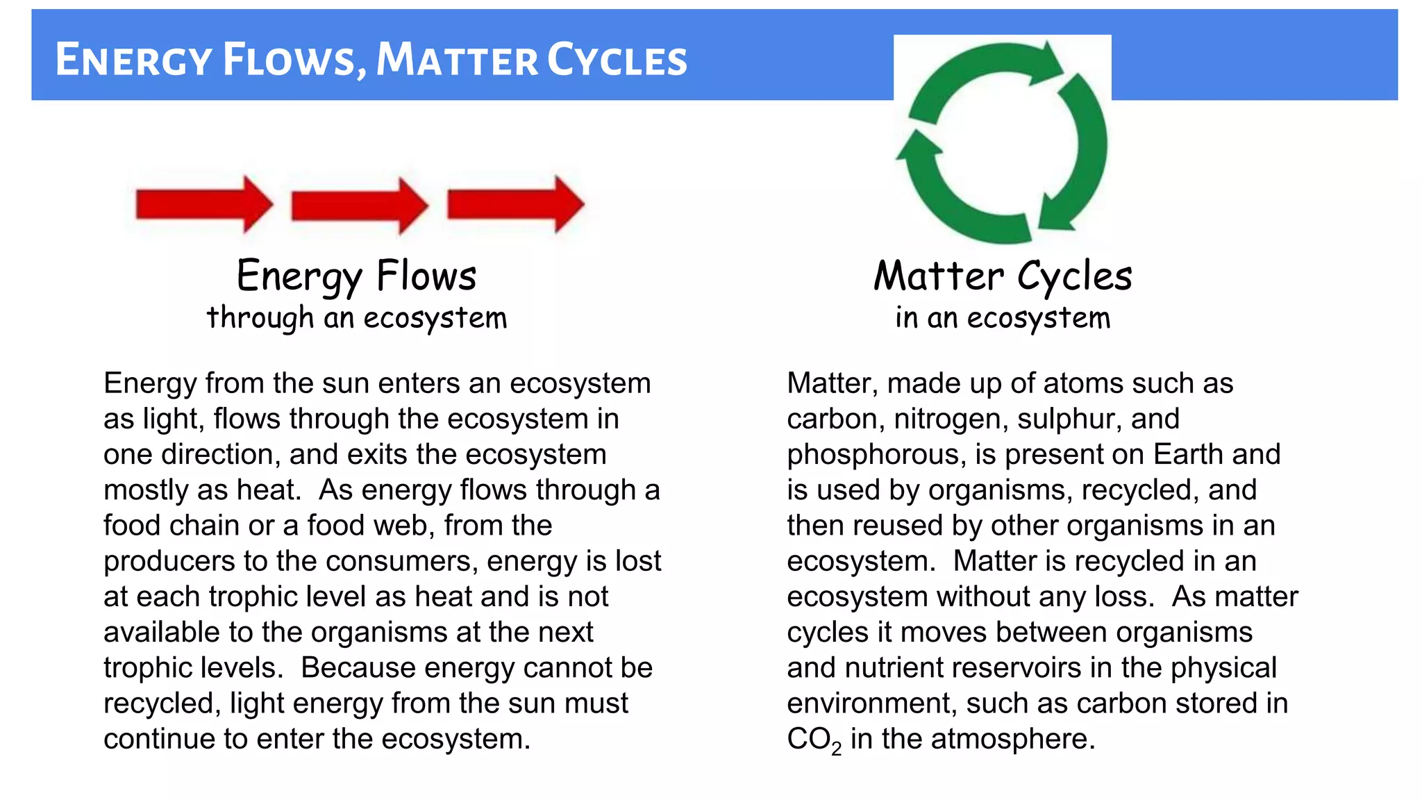 Energy Flows, Matter Cycles.pptx