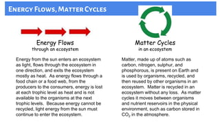 Energy Flows, Matter Cycles.pptx