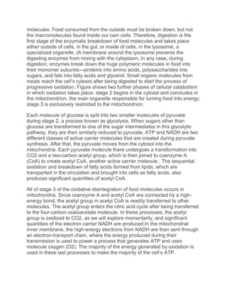 Energy for food process.pdf