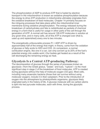 Energy for food process.pdf