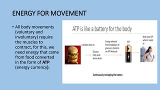 Energy For Movement.pptx | Chemistry | Science