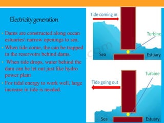 Tidal Energy Diagram For Kids