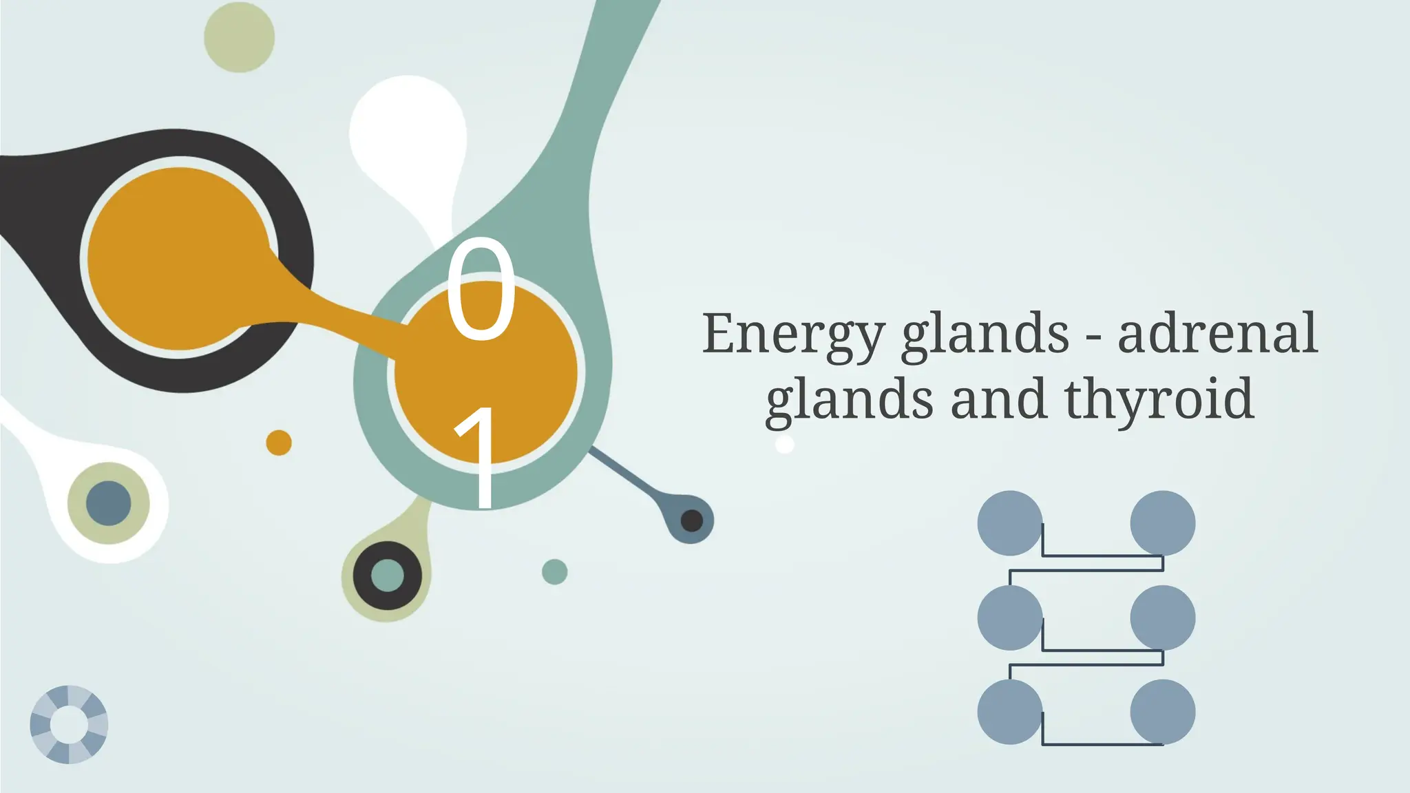 Understanding the Vital Role of Human Energy Glands | PPTX