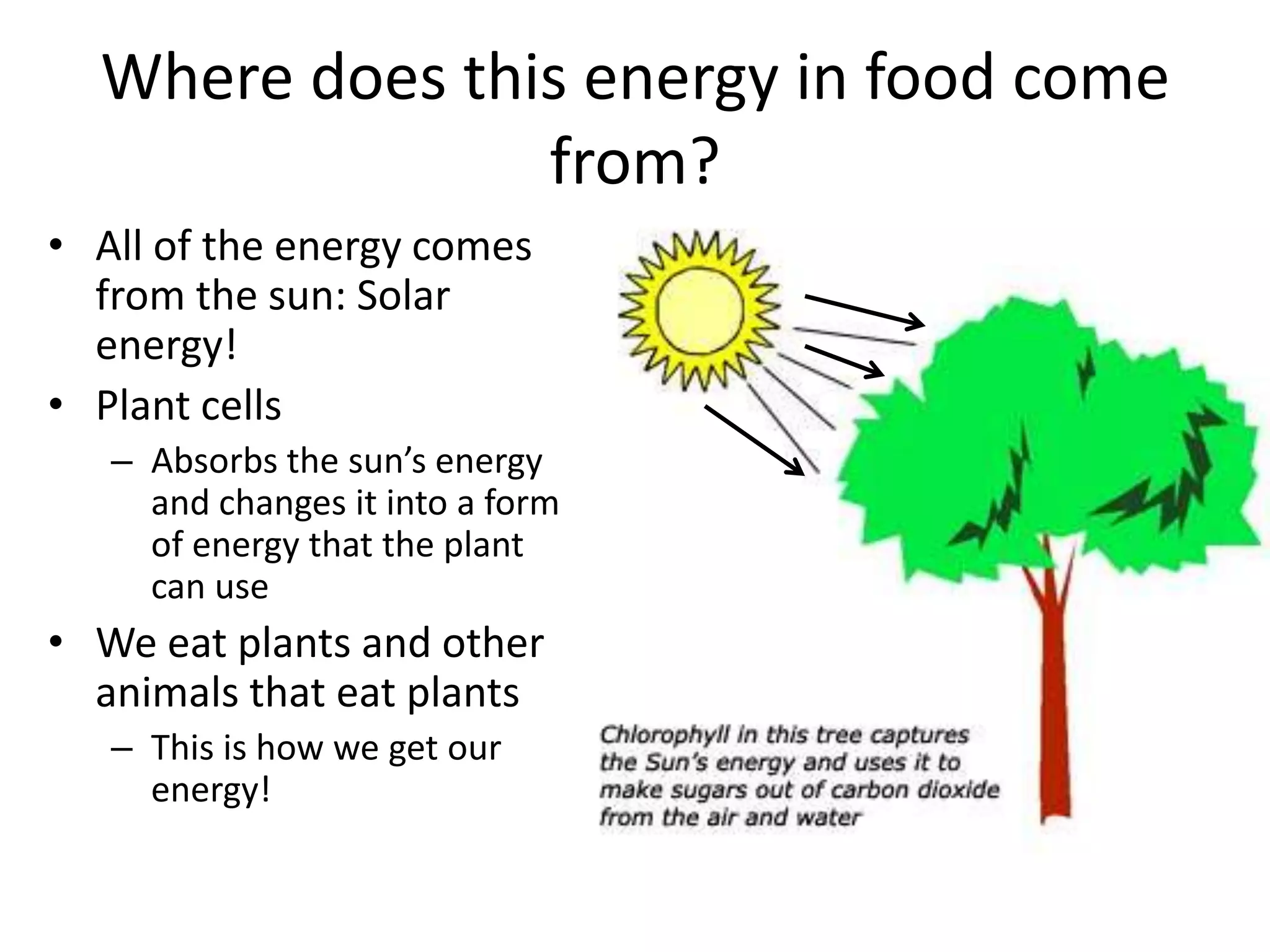 Energy in cells | PPTX