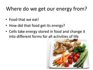 Energy in cells | PPT