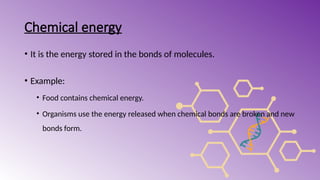 ENERGY IN ECOSYSTEM, food chain, energy pyramids.pptx
