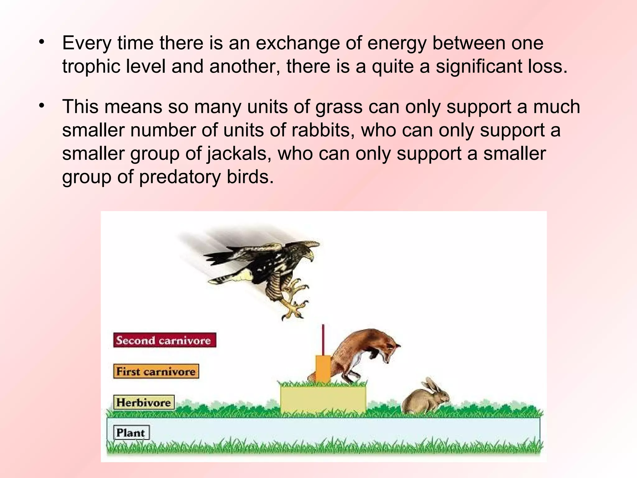 Energy in ecosystem new | PPT