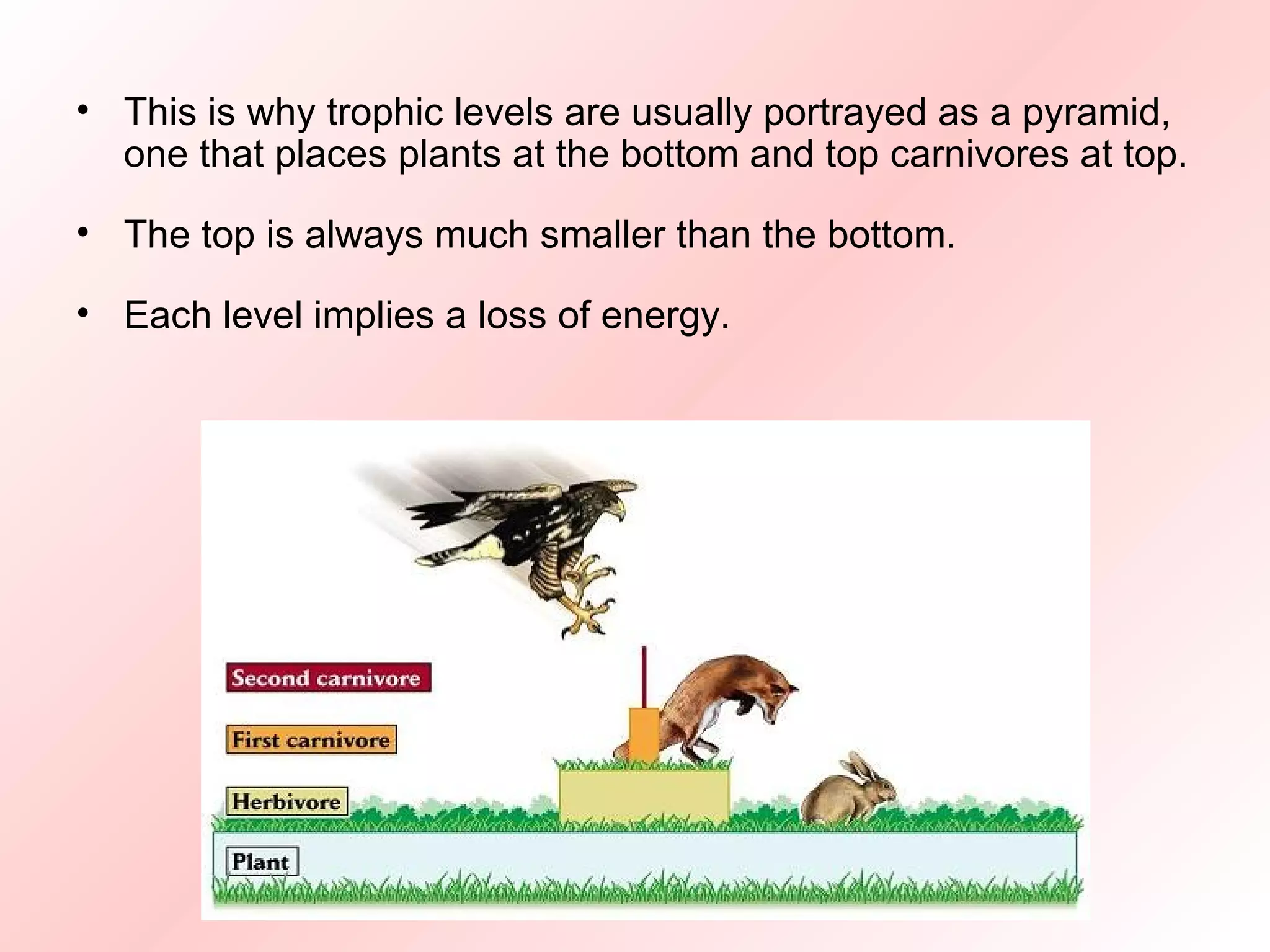 Energy in ecosystem new | PPT