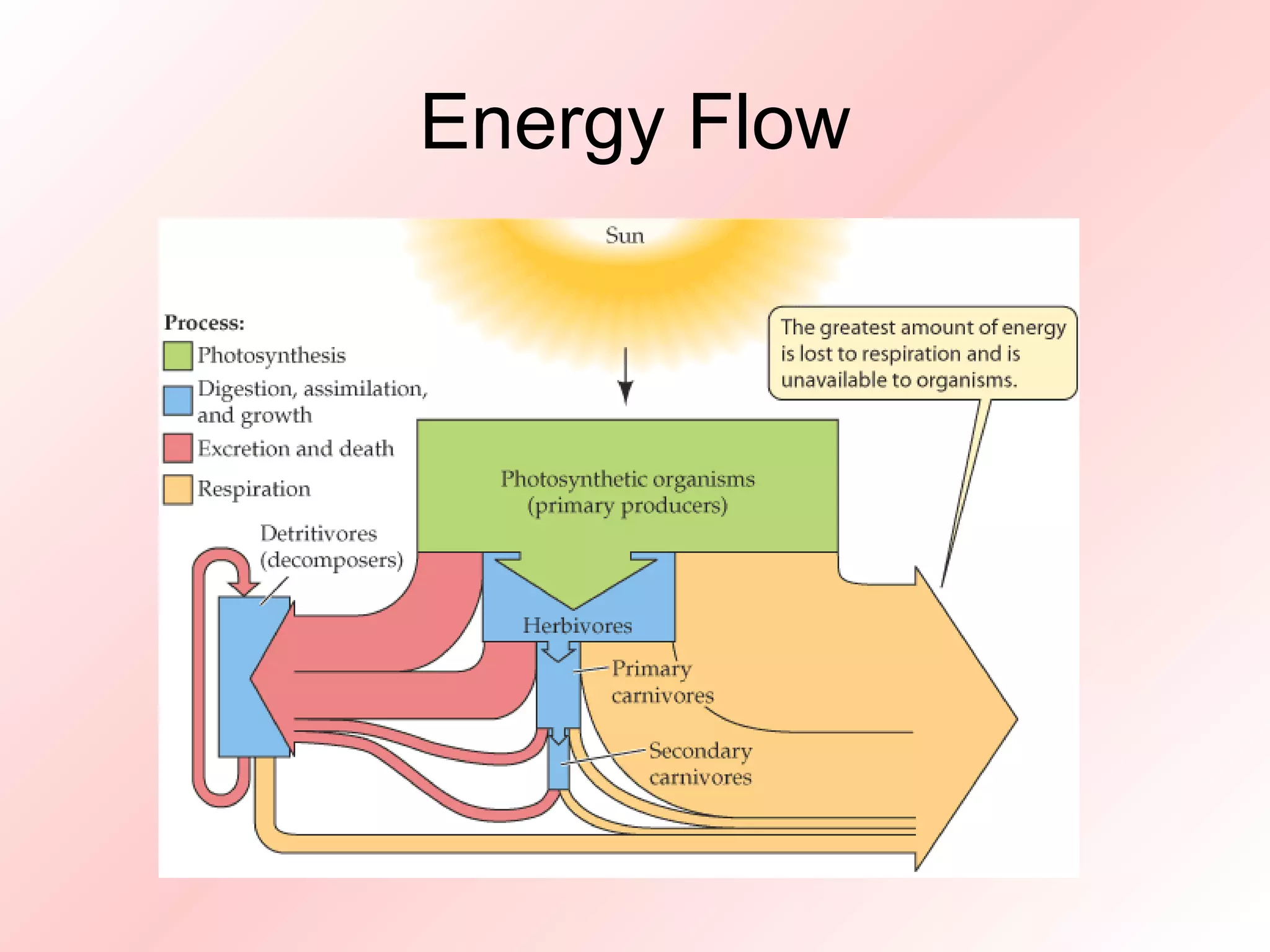 Energy in ecosystem new | PPT
