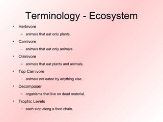Energy in ecosystem new | PPT