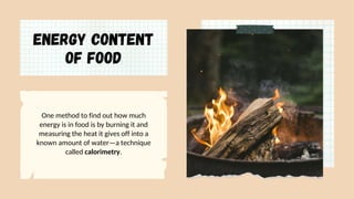 Energy in Food Education Presentation in Collage Neat Style.pptx ...