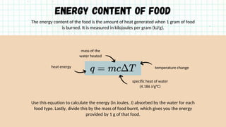 Energy in Food Education Presentation in Collage Neat Style.pptx