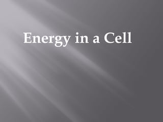 Energy in the cell photosynthesis - cellular respiration | PPT