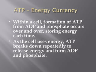 Energy in the cell photosynthesis - cellular respiration | PPT