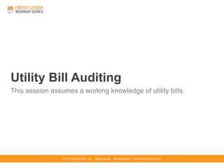 Utility Bill Auditing | PPTX