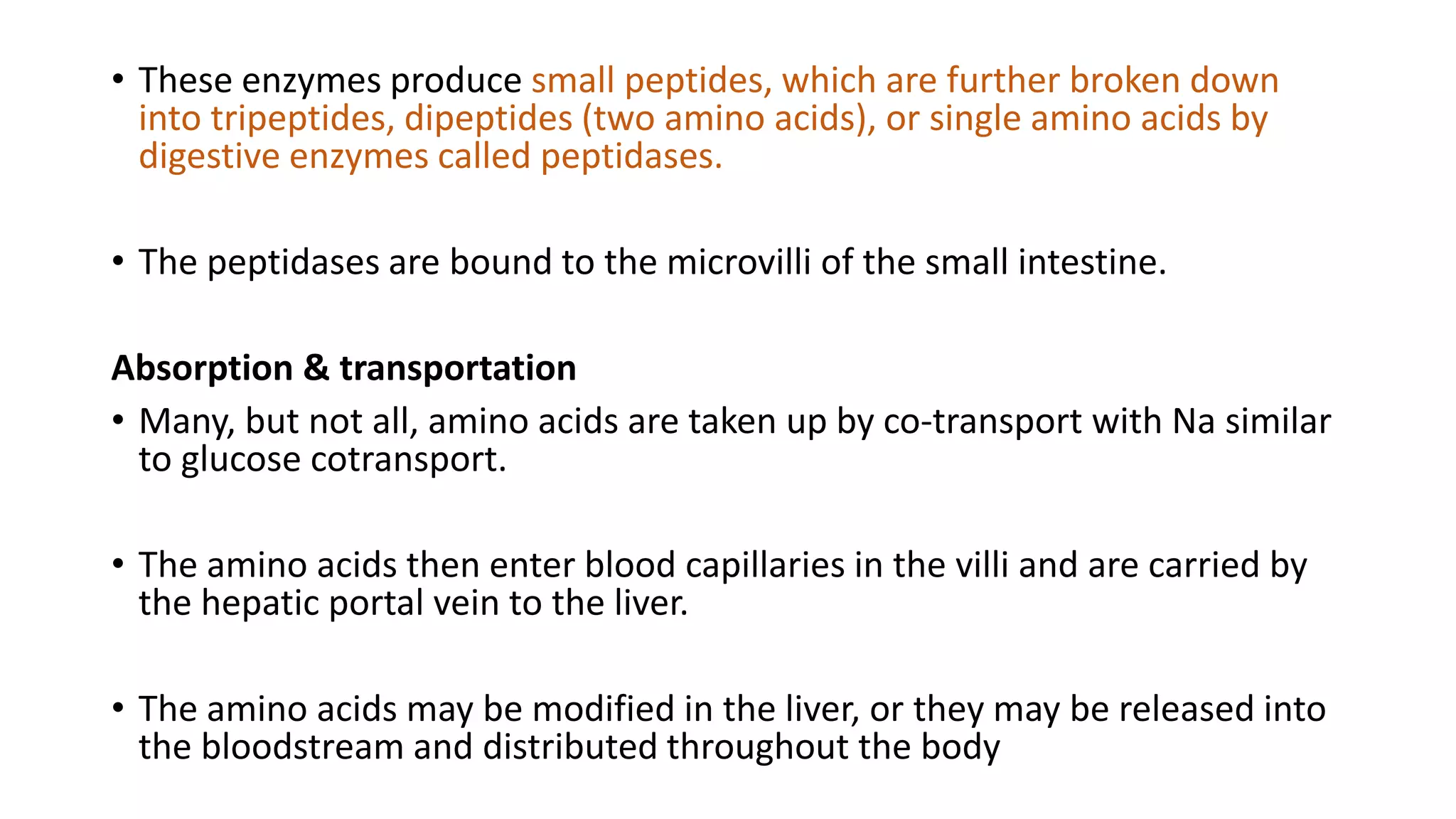 Energy metabolism.pptx