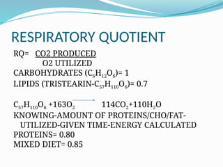 ENERGY METABOLISM In human nutrition for food | PPTX