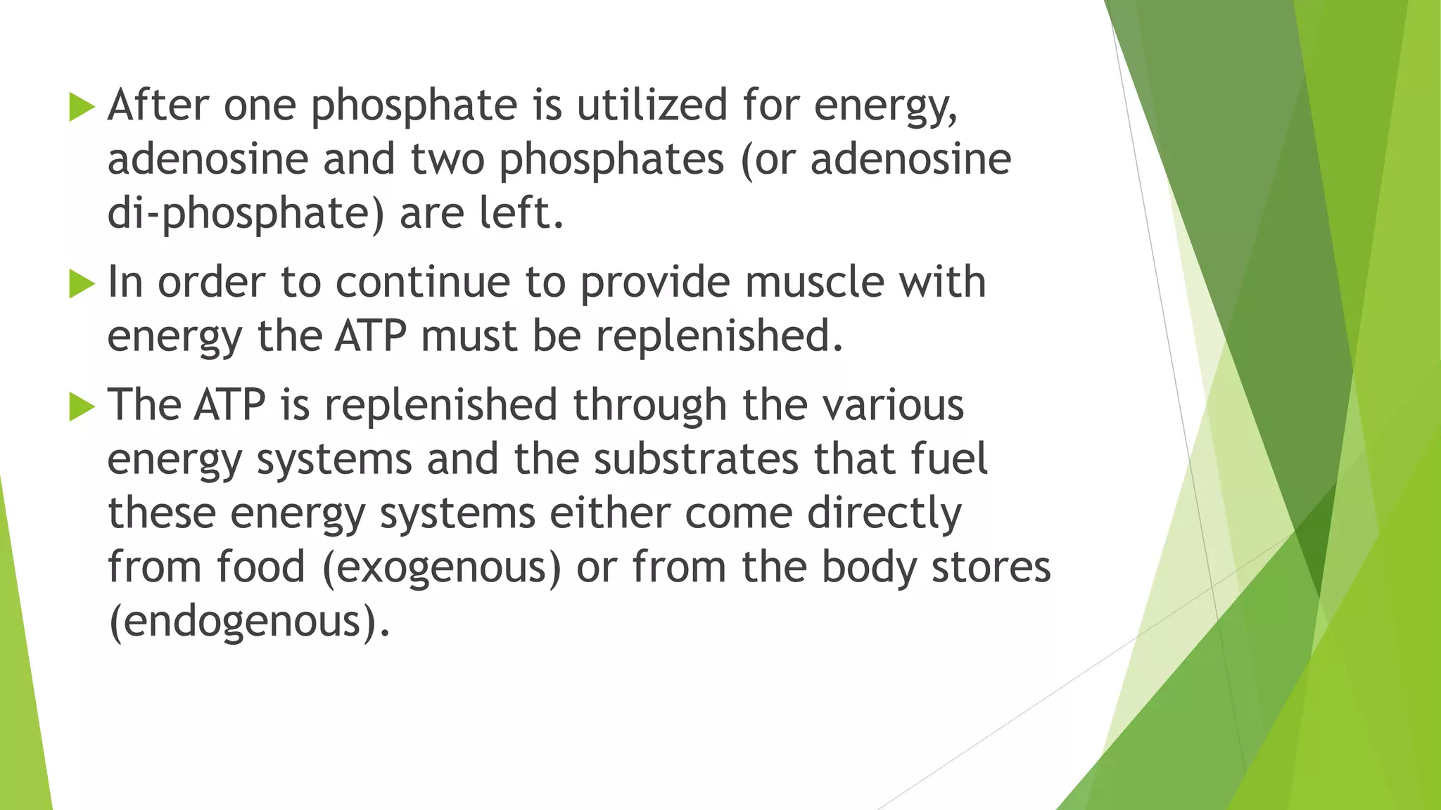 Energy metabolism in sports nutrition | PPTX