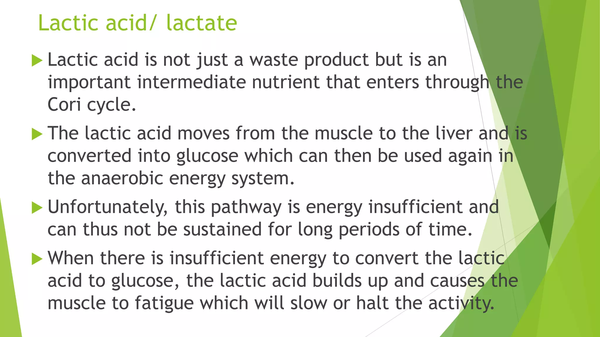 Energy metabolism in sports nutrition | PPTX
