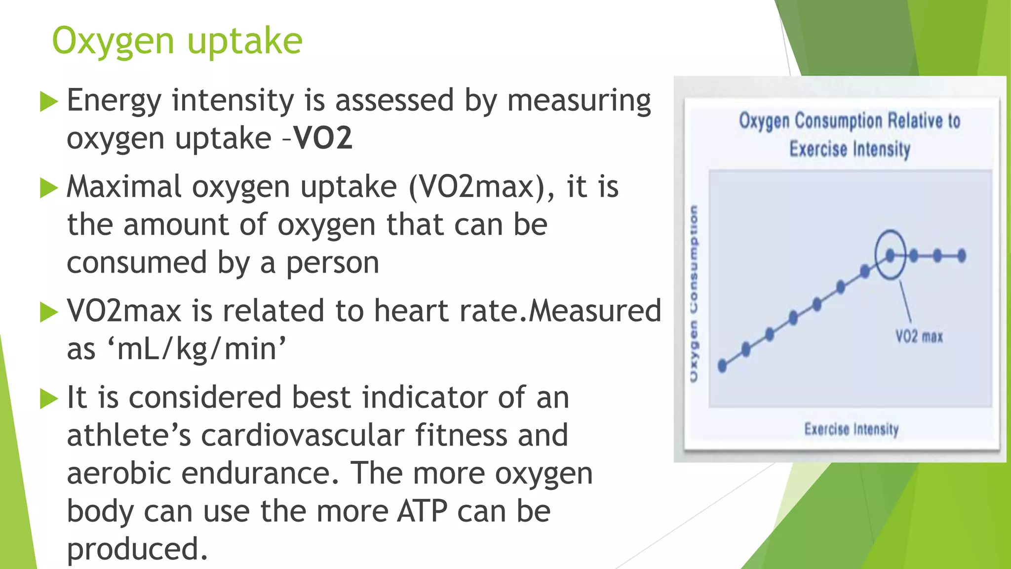 Energy metabolism in sports nutrition | PPTX