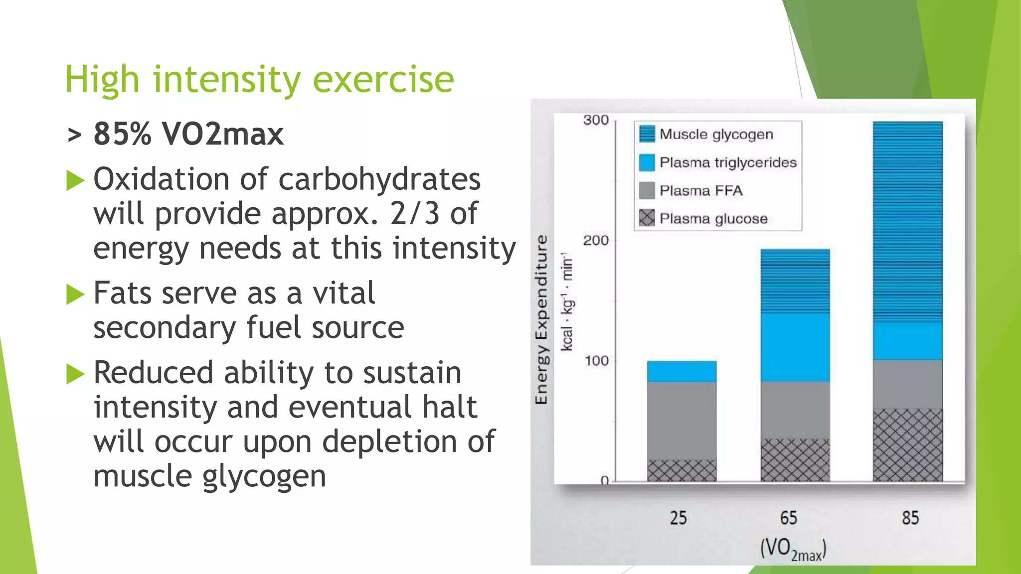 Energy metabolism in sports nutrition | PPTX