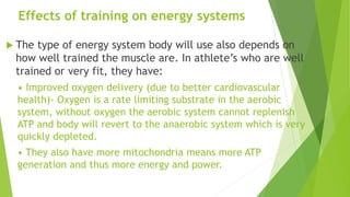 Energy metabolism in sports nutrition | PPTX