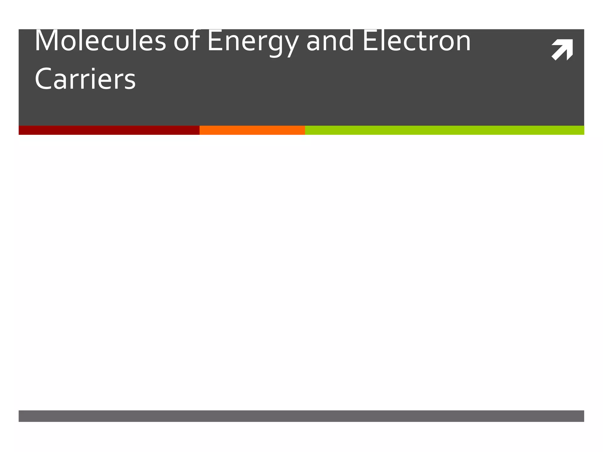 Energy Molecules | PPTX