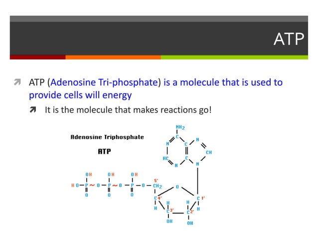 Energy Molecules | PPTX