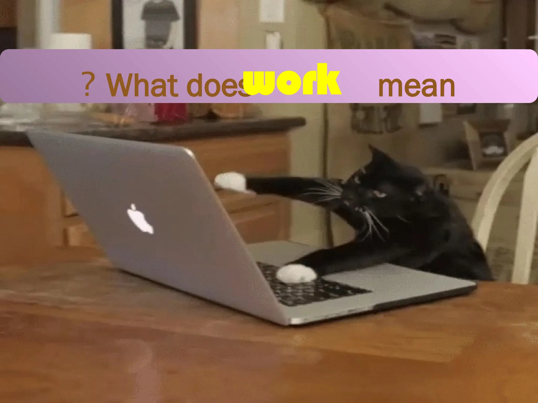 Energy, motion, force, work.pptx grade 6 elevate science | PPTX