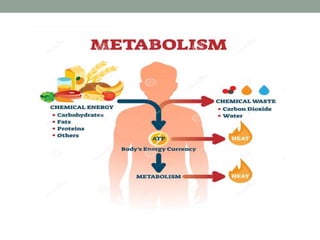 Nutritional facts of Energy | PPTX